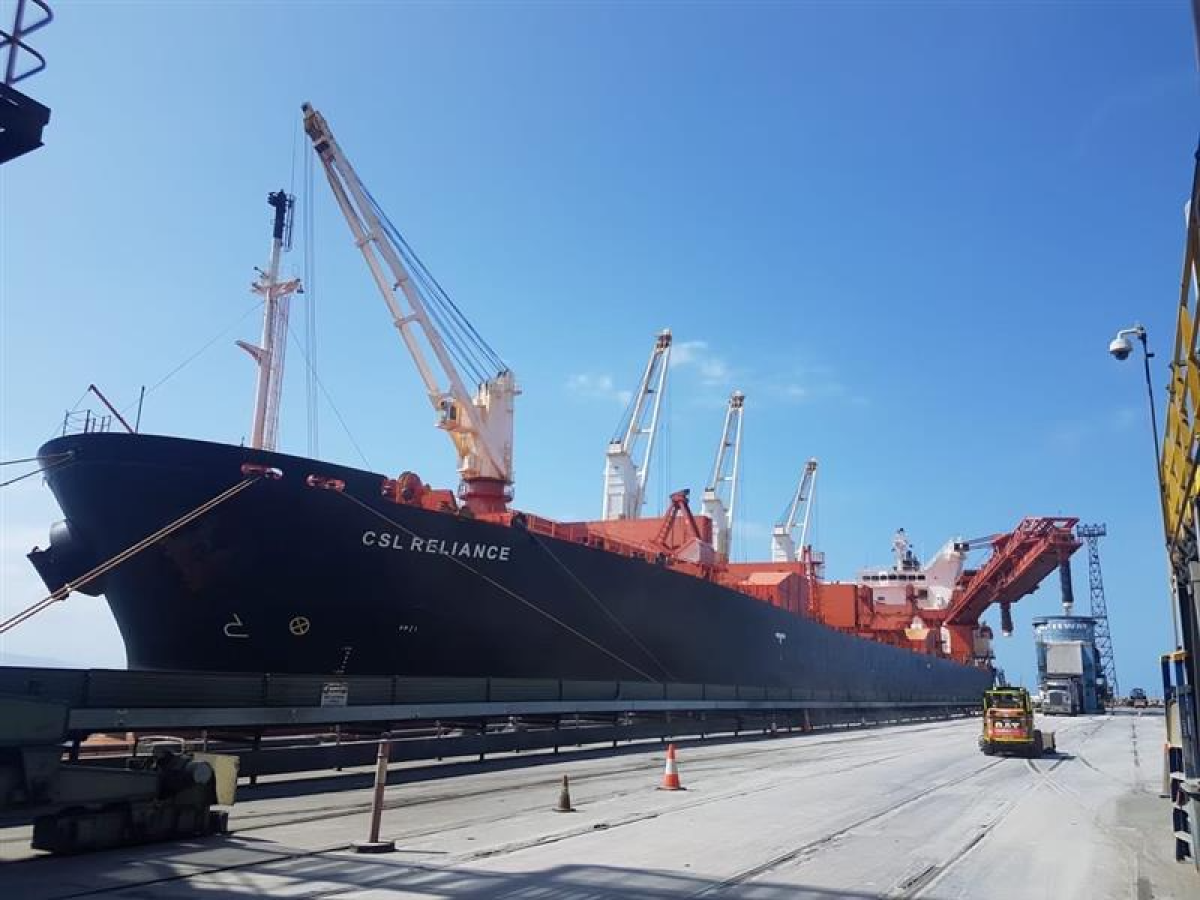 Smooth sailing? Not quite. But Eliza helps keep our supply chain shipshape.